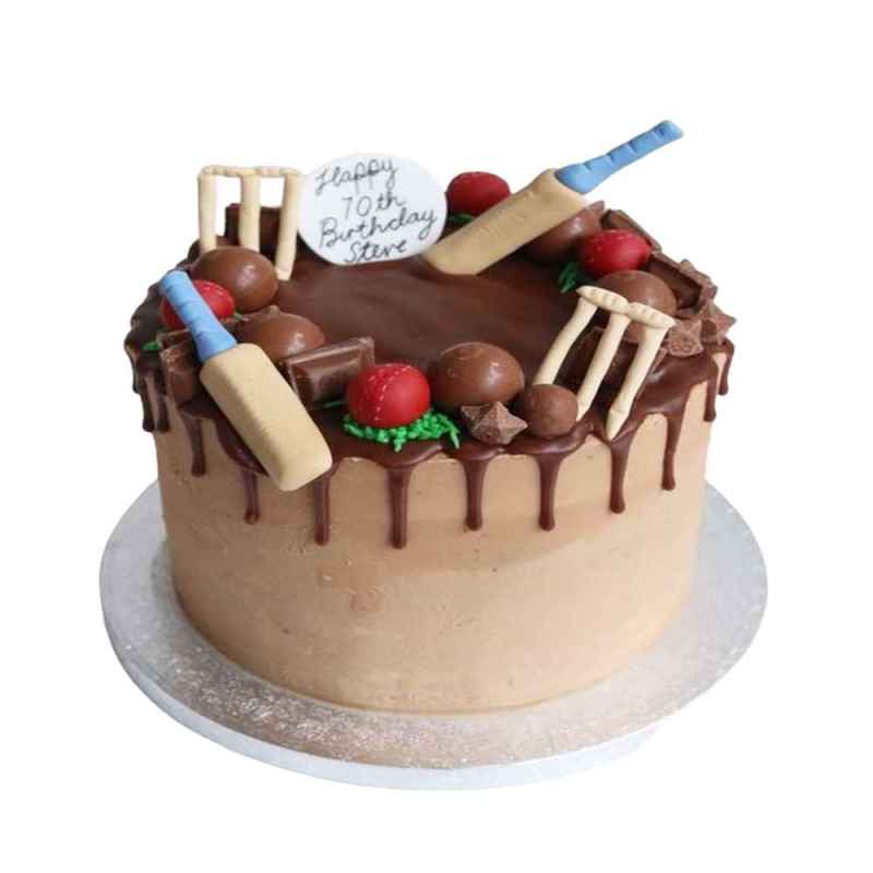 Cricket Cake Design - Axycube Solutions Pvt Ltd.